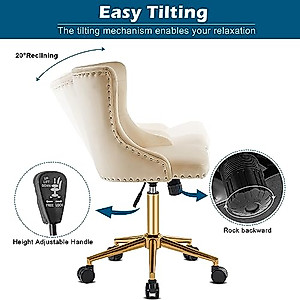 VINGLI Beige Velvet Armless Home Office Desk Chair with Gold Base/Wheels, Small Cute Vanity/Makeup Chair with Back for Bedroom, Upholstered Adjustable Rolling Swivel Nail Chair for Women/Girls