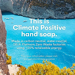 ECOS Hypoallergenic Hand Soap - All Natural pH-Balanced Handwash Soap with Vitamin E - Safe for Sensitive Skin - Lavender - 17 Oz Bottle (6 pack)