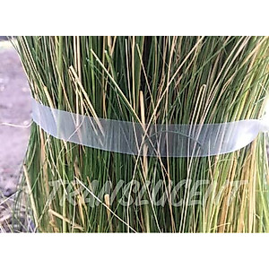 Clear Tie Tape 300 FEET x 1/2" Each Roll/Translucent Stretch Plant Ribbon Garden Vinyl - 3 Pack