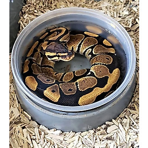 Old Dominion Hemp Small Animal Hemp Bedding, Low Du, Expands to 30 quarts, Reduces Odors, Chicken Bedding, Rabbit Bedding, Reptile Bedding, Hamer Bedding, Gerbil Bedding, Rat & Mice Bedding