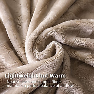 Whale Flotilla Flannel Fleece Queen Size Bed Blanket, Lightweight Breathable Soft Bedspread Plush Fluffy Coverlet Chevron Design Decorative Blanket for All Season, 90x90 Inch, Champagne