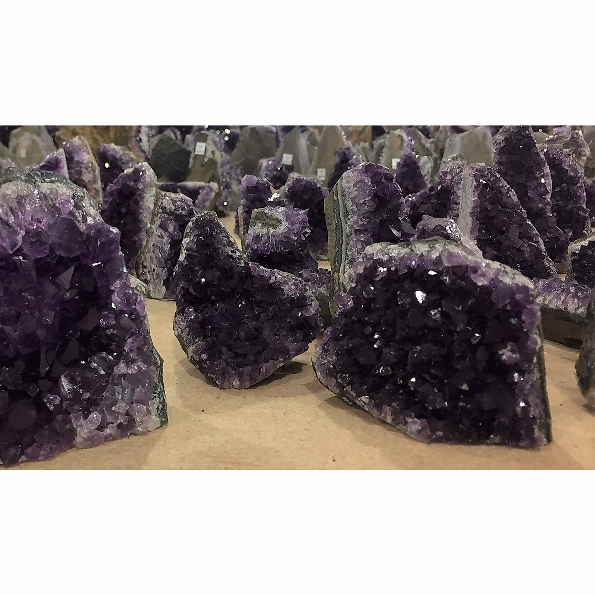 Extreme Rocks & Fossils Amethyst Cluster - .5 to 1 pounds of Powerful, deep Purple Crystals. Geode from Uruguay. Includes Bonus 3 inch Selenite Wand