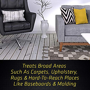 Black Flag 11093 B00PVN1ST8 Extreme Flea Killer Plus Growth Regulator RTU, 1-gal, 128 Oz