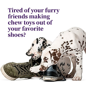 Harbor's Bitter No Chew Spray | 3 X Strength Chewing Deterrent Spray | Anti Chew Behavior Training Aid | Stops Destructive Chewing and Licking of Shoes, Bandages, Paws, Fur & Furniture | Made in USA