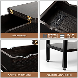 Hadulcet Side Table with USB Ports and Outlets, Narrow Sofa End Table with Storage Shelf for Small Spaces, Nightstand with Charging Station Bedside Table for Living Room, Black Walnut