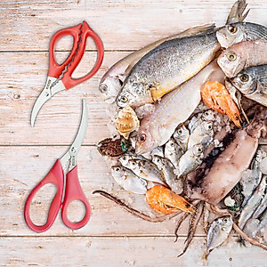 ROEDEER Kitchen Stainless Steel Seafood Scissors for Lobster,Shrimp,Crab,Crab Claw,King Crab Leg,Fish,Shellfish,Crawfish,6" And 7" 2PCS Shears