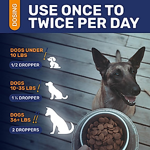 Antibiotic for Dogs ◆ Dog Antibiotic ◆ Natural Antibiotics for Dogs ◆ Pet Antibiotic ◆ Dog Antibiotics with Beef Flavor ◆ 2 Oz