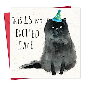 Twizler Funny Birthday Card Cat – Funny Birthday Card Women – Funny Birthday Card Men – Funny Birthday Card For Her – Funny Birthday Card For Him - Funny Card Birthday – Happy Birthday Card – Cat Card