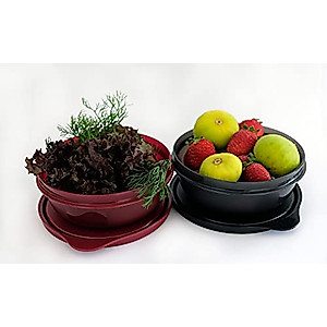 Tupperware Airtight Leakproof Storage Container (Set of 3, 300 ml) Cherry, Ruby, Black, 11155467