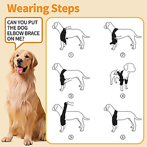 Dog Knee Brace for ACL - Luxating Patella Ligament Injury Hip Support and Recovery - Knee Braces for Dogs - Dog Elbow Protector（L）