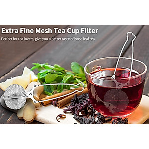 Snap Ball Tea Strainer, Exptolii 3 Pack Stainless Steel Tea Infuser Filter with Handle for Loose Leaf Tea, Spices, Seasonings
