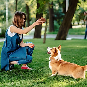 NUOBESTY Poop Car Remote Control Plastic Simulation Stool Toy Shit Poop Car with Spinning and Farting Action for Halloween April Fools Day Party Kids Child Toy