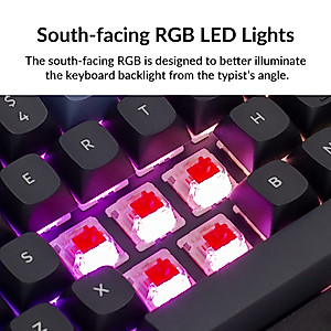 Keychron Q2 Wired Custom Mechanical Keyboard, QMK/VIA Programmable Macro, Full Aluminum, Hot-Swappable Gateron G Pro Red Switch, 65% Layout Double Gasket Compatible with Mac and Windows - Black