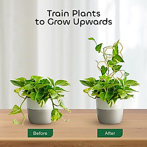 GROWNEER 2 Pcs 14" Small Plant Trellis for Climbing Plant, Honeycomb Metal Potted Trellis with 20 Pcs Cable Ties, 15 Pcs Plant Labels, Plant Support for Flower Stem Vines, Golden