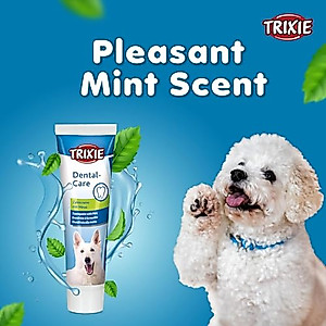 TRIXIE Mint Toothpaste for Dog, 100 G, White
