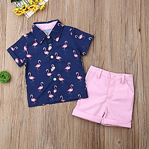 VISGOGO Toddler Baby Boy Flamingo Short Sleeve Button Down Shirt & Casual Shorts Set Summer Outfits 1-6 Years Clothes