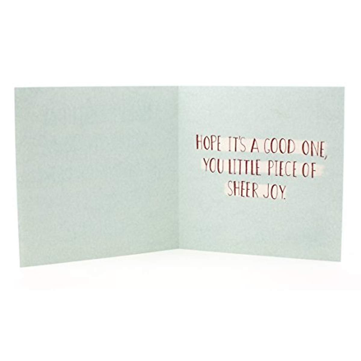 Hallmark Studio Ink Birthday Card  (Son of a), Sarcastic Humor (0299RZJ5029)