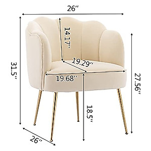 LETESA Modern Velvet Accent Barrel Chairs Shell Shape Chairs Comfy Upholstered Vanity Chairs Dining Chairs with Golden Metal Legs Desk Chair Makeup Chairs for Living Room Bedroom (Cream White)