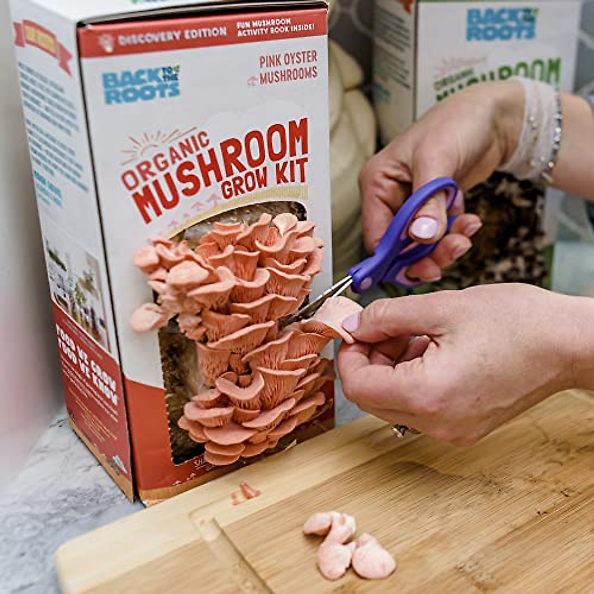 Back to the Roots Organic Mushroom Grow Kit - Oyster and Pink Mushroom 2-Pack Variety - Indoor Non-GMO Growing Kit - Produces 3-4 Servings and Grows in 10 Days