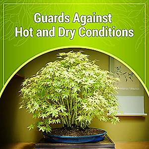 Ho Yoku Bonsai Fertilizer Pellets - Slow Release Bonsai Food That Provides Continuous Feeding During Watering and Encourages Strong Root Health for All Bonsai Trees, Ten Ounces (oz)