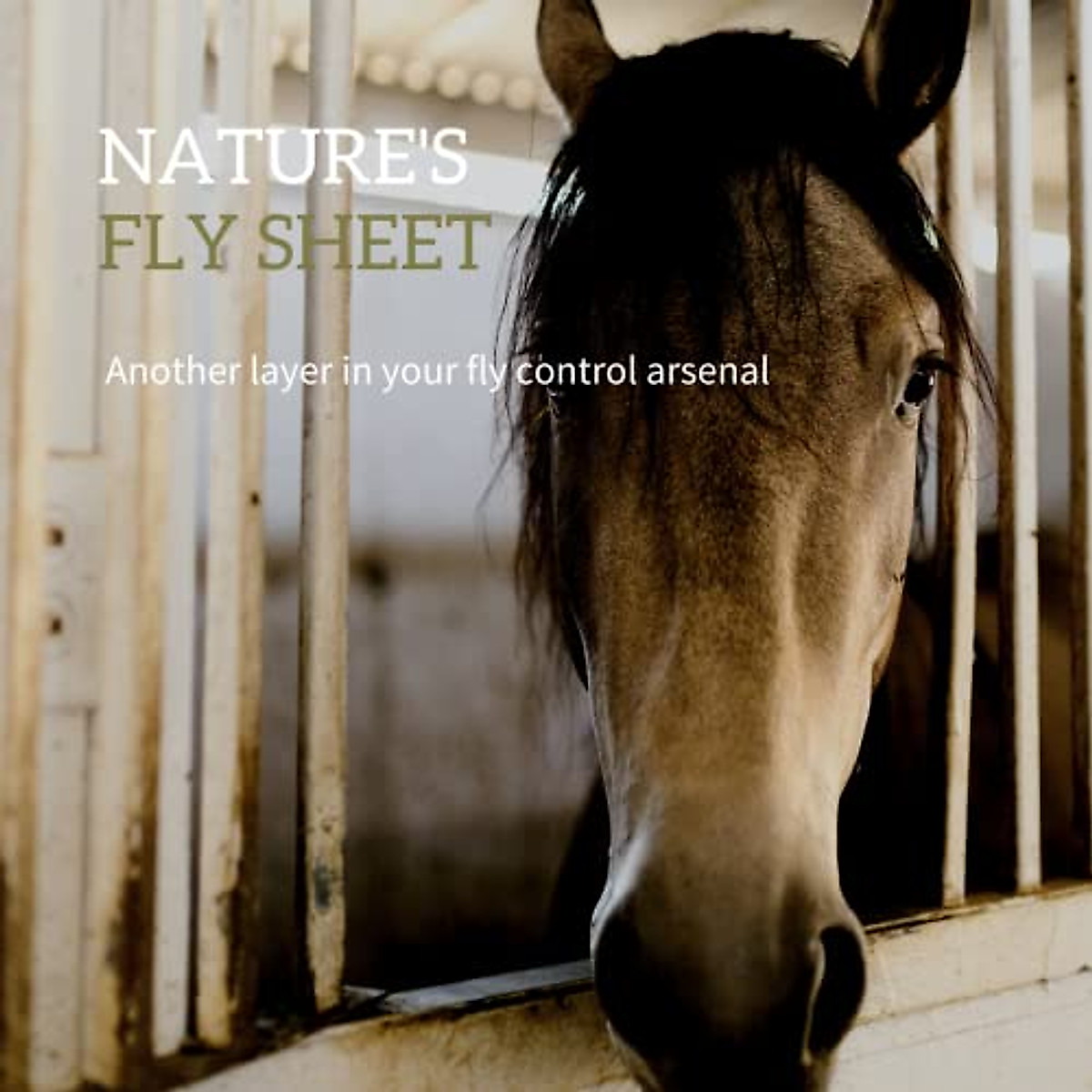 REDMOND Daily Red Garlic | Horse Minerals & Vitamins Supplement | Garlic for Horses