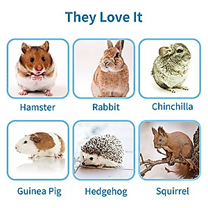 TEEMEE 320g Timothy Hay Sticks, Small Animal Chew Toys for Rabbit, Guinea Pig, Chinchilla, Rat, Gerbil, Hamster, Natural Teeth Grinding Toys, Handmade Treats