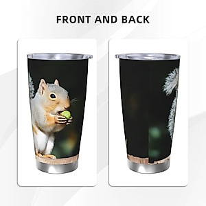NHJKLWQSZ Cute Squirrel 20oz Stainless Steel Tumbler With Lid And Straw, Double Wall Vacuum Insulated Coffee Mug Travel Cups Leak-Proof Lid For Hot And Cold Drinks, Metal Straws And Brush