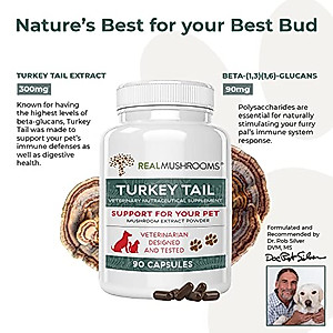Turkey Tail Pet Support - Dog Multivitamins and Supplements for Immune Support, Gut Health & Wellness - Grain-Free, Gluten-Free, Vet-Approved Dog Supplement (90ct)