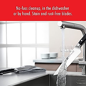 ZWILLING Pro 2-pc Prep Knife Set