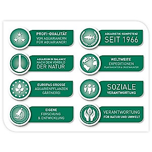 Shrimp King Snow Pops Brown 1.4 Ounce (Pack of 1)