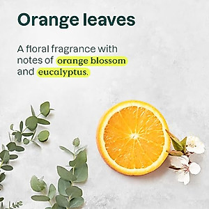 ATTITUDE Body Wash, EWG Verified Shower Gel, Dermatologically Tested, Plant and Mineral-Based, Vegan Personal Care Products, Orange Leaves, Bulk Refill, 67.6 Fl Oz