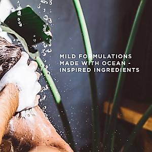 BYRD Purifying Shampoo – Gentle, Sulfate-Free Daily Cleanser, Adds Texture and Volume, For All Hair Types, 16 Oz