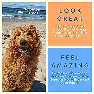 A Better Treat – Freeze Dried Salmon Dog Treats, Wild Caught, Single Ingredient | Natural High Value | Gluten Free, Grain Free, High Protein, Diabetic Friendly | Natural Fish Oil | Made in The USA