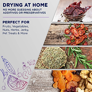 Ivation 6 Tray Commercial Food Dehydrator Machine |600w, Easy Setup, Digital Adjustable Timer and Temperature Control | Dryer for Jerky, Herb, Meat, Beef, Fruit and To Dry Vegetables | Stainless Steel