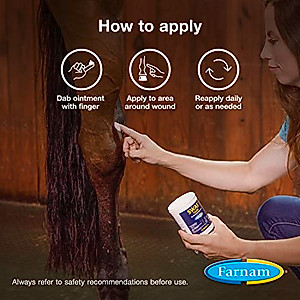 Farnam SWAT CLEAR Horse Fly Control for Horses, Ponies and Dogs, 7 ounce jar