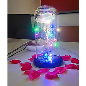 AUSAYE for Mom,Women's Gift Gold Butterfly Birthday Gifts Colorful Preserved Rose Gift Flower, Preserved Rose Flower in Glass Dome, Unique Gift for Her, Mom,Grandma