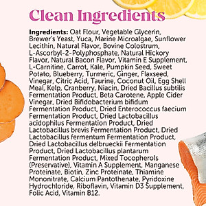 Pet Honesty Multivitamin Puppy Treats - Essential Dog Supplements & Vitamins for Learning and Cognitive Development- Probiotics, Omega Fish Oil for Health & Heart, Immune Health - Dog Health Supplies