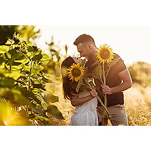 1000+ Mix Sunflower Seeds for Planting Heirloom and Non-GMO Easy to Plant and Grow - 10 Varieties Seeds for Outdoor Garden