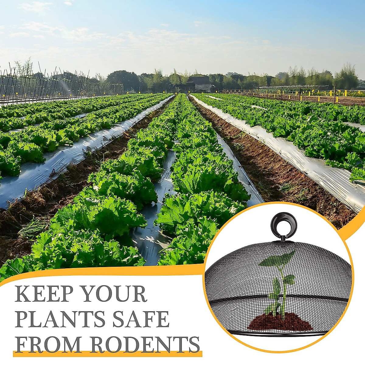 5 Pcs Metal Mesh Food Cover for Outdoors Include 18.5 In Extra Large Mesh Food Tents Fly Fruit Screen Food Net 4 Pcs 11 In Large Dome Plate Covers for Dinner Plates Reusable Picnic Food (Black)