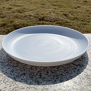 YUYUHUA Unbreakable Plastic Plates Reusable – Everyday Deep Dinner Plates 10 inch set of 6 – BPA Free Dishwasher Microwave Safe Hard Plates for Kitchen, Party, Camping, Outdoor