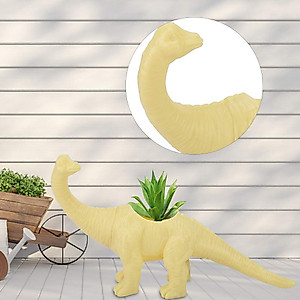 Haofy Dinosaur Succulent Planter Pot, Flower Bonsai Potting Flower Planter Gardening Planter Container for Indoor/Outdoor Garden Home Office Decoration (F)