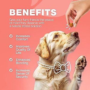 Dog Flea and Tick Treatment Chews - Flea and Tick Prevention for Dogs - Flea & Tick Chewables - Natural Dog Flea & Tick Control Soft Treats - Flea Chewables for Dogs - Immune Support Supplement