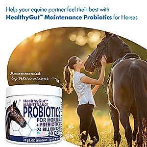 Equa Holistics HealthyGut™ Probiotics for Horses Dietary Supplement, All-Natural Digestive System Maintenance Formula (30 Days)