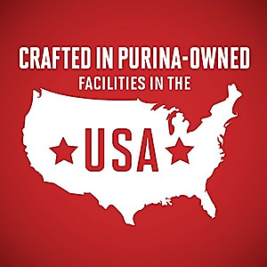 Purina ONE Plus Large Breed Puppy Food Dry Formula - 16.5 lb. Bag