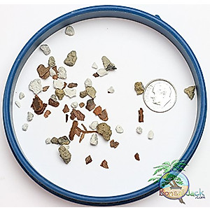 Bonsai Jack Universal Organic Bonsai Soil Mix #221, 2 Gallons