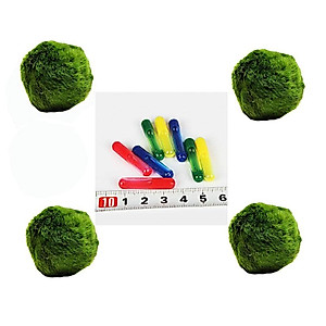 Decorative Balls for Fish Tank Water Grass Moss Live Aquarium Plant Aquatic Plant Ornament 4pcs(3.5cm/1.37in) Free Fish Tank Decoration Stone 8PCS