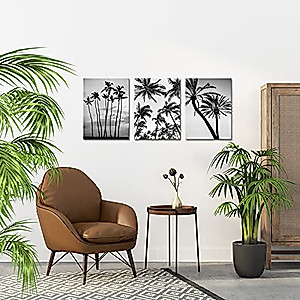 ArtKissMore Tropical Palm Tree Wall Decor - Black and White Hawaii Beach Canvas Wall Art Pictures Framed for Home Bathroom Bedroom Living Room Wall Decor Framed 12"x16"x3pcs