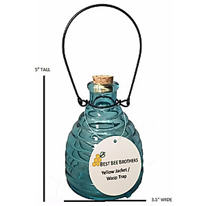 Glass Wasp Trap and Wasp Deterrent Hive (2 Hives) by Best Bee Brothers
