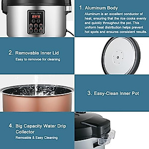 15L Commercial Rice Cooker & Warmer (90 Cup Cooked, 15.8 QT) Smart Large Rice cooker 6 Rice Cook Functions 24-Hr Delay Timer | LED Display | Auto Keep Warm | Non-Stick Inner Pot