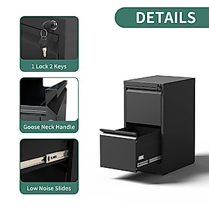 BIZOEIRON 2 Drawer File Cabinet with Lock, Metal Vertical Filing Cabinets for Home Office, Steel Storage Cabinet for Hanging Legal/Letter Size Files, Assembly Required (Black)